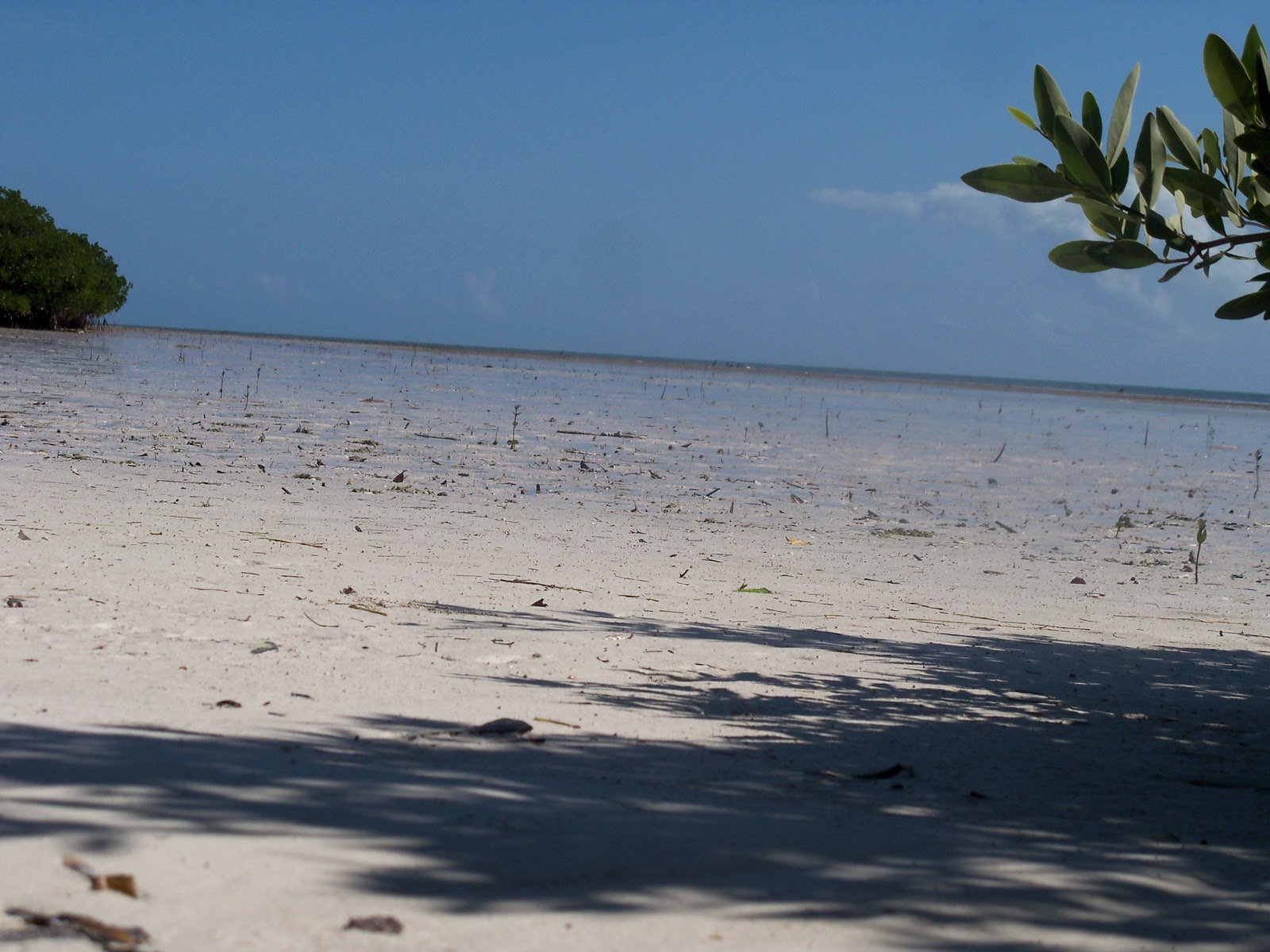 Trail and Park Reviews: Road Trip; Long Key State Park, Florida Keys