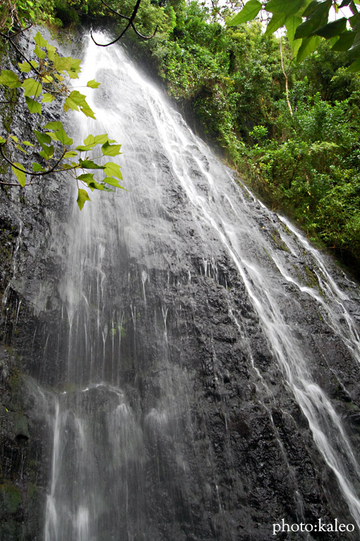 Island Trails: Hamama Falls and Waihe'e Falls - October 26, 2010