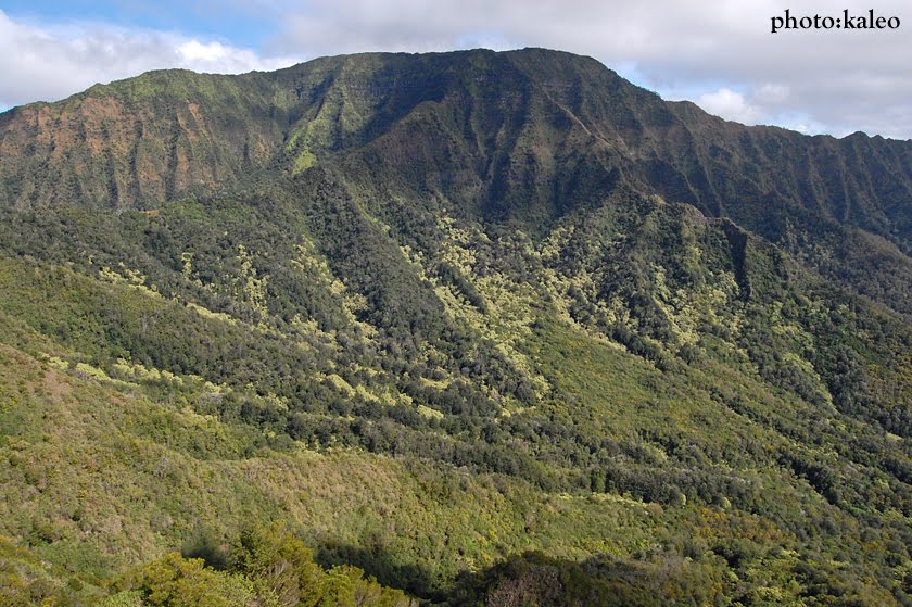 Island Trails: Kawiwi to No Name - January 2, 2011