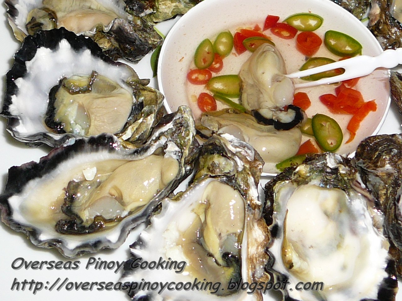 Pinoy Home Cooking and Recipes: Kinilaw na Talaba