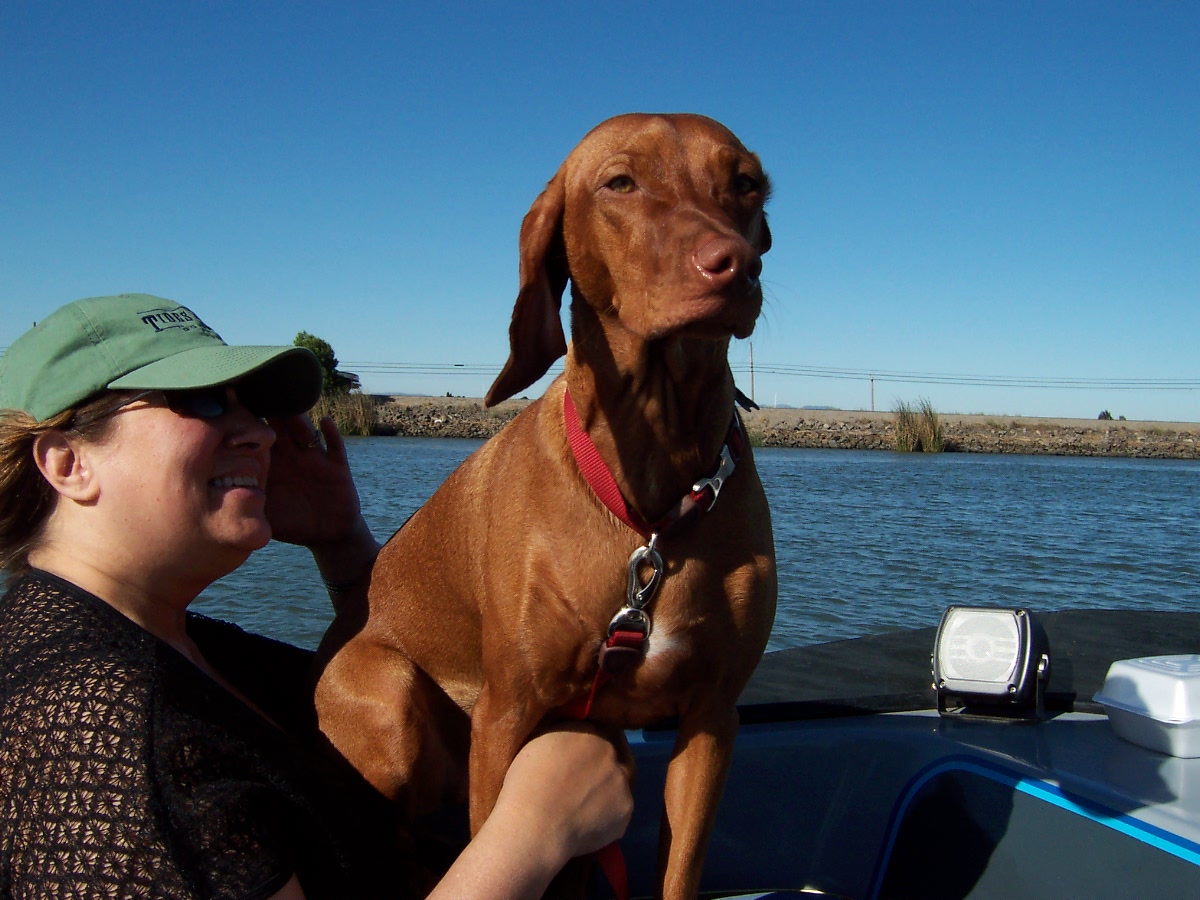 redbirddog - a hungarian pointer (vizsla) blog: The Personality of a ...