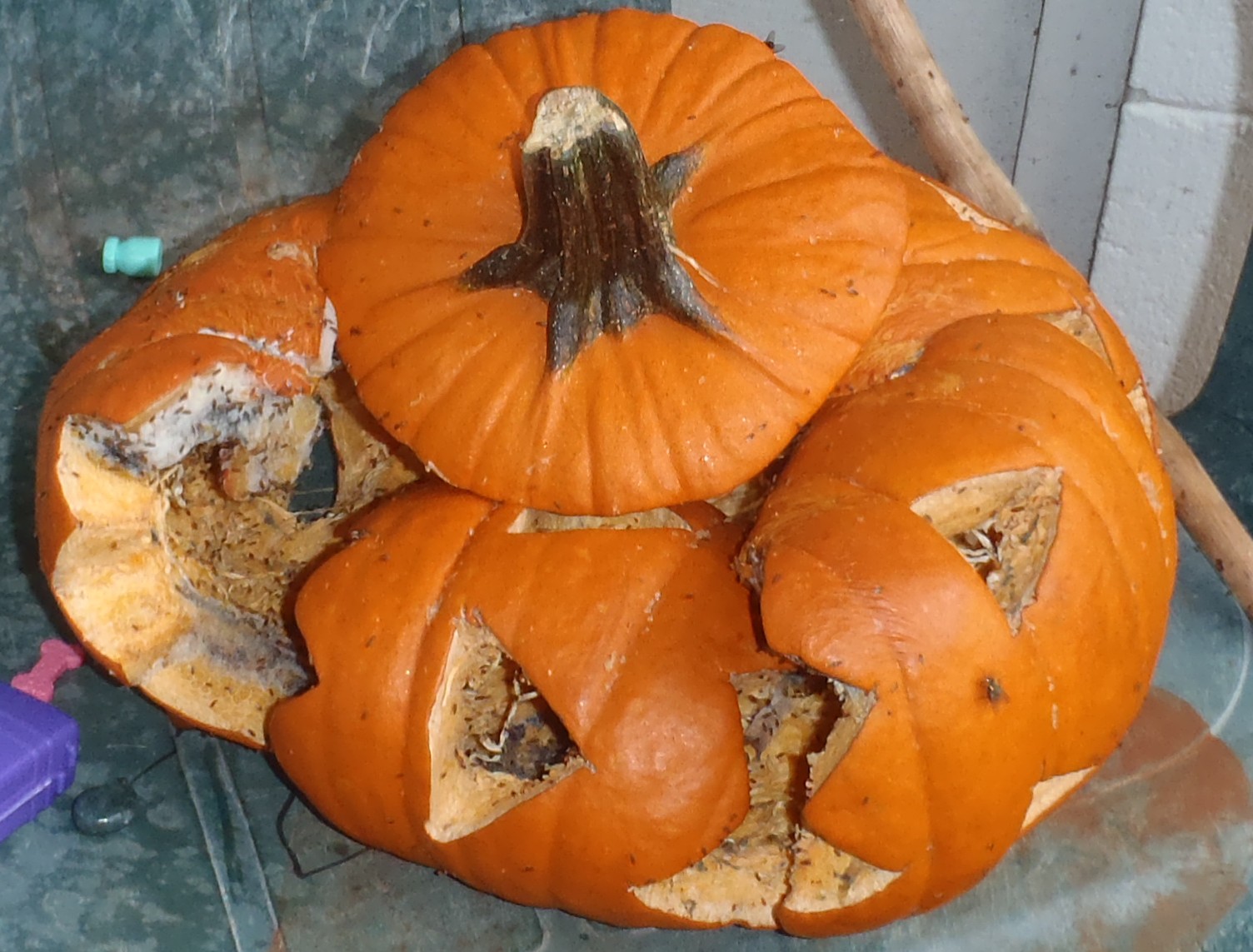 mommyvsarmyof5: Post-Halloween Pumpkin Smashing