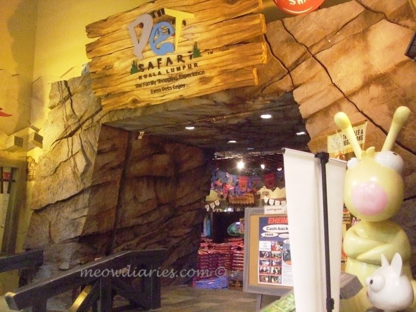 Let's Go to Pet Safari! | Meow Diaries