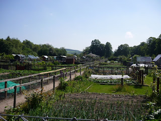 Cupar Allotment Group: Inspiration: Perth Moncrieffe Island