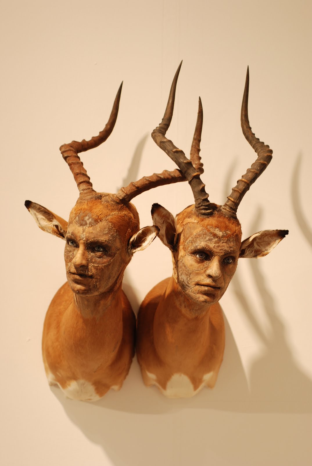 designmate: Inspirations: Kate Clark