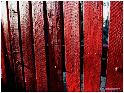 D.C. Confidential: Red Fence