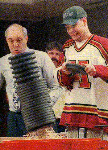 All about Everything: bridges toothpick