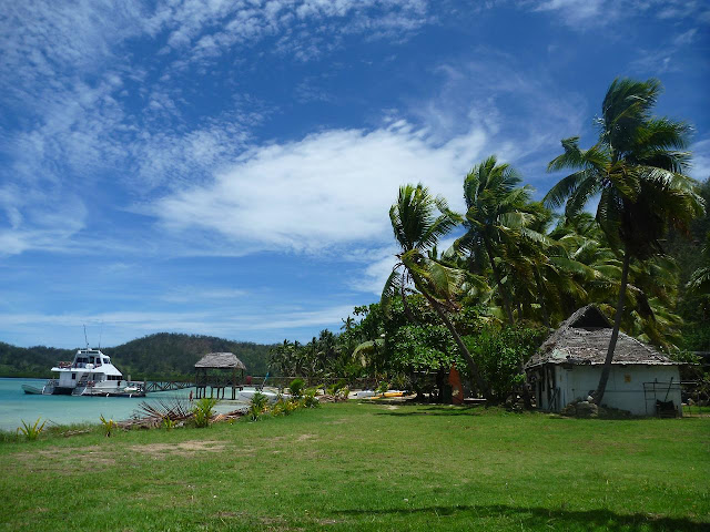 Bobo's Big Adventure: Fiji Pictures!!!