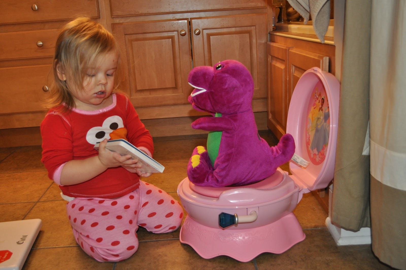 Mountjoys on the move: Potty Time & Sickness