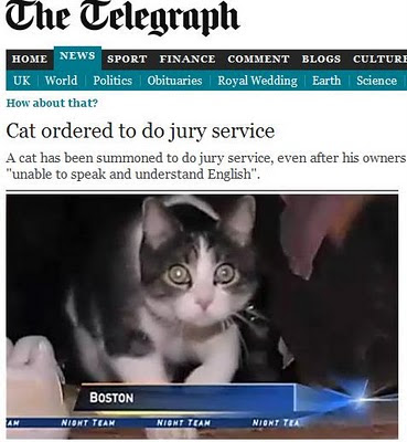 My That's English!: Cat ordered to do jury service
