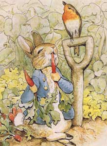 Peter Rabbit Shop