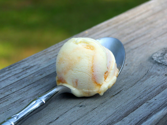 Vanilla Basil: Browse Recipes