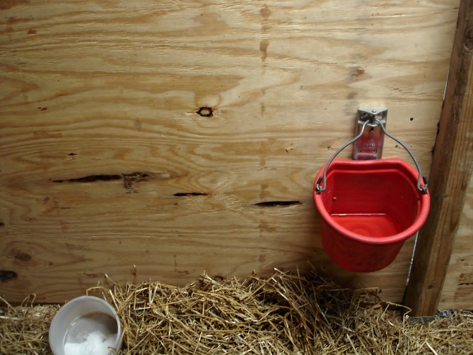 Hoosier Homesteaders: Goat Barn Pen Update