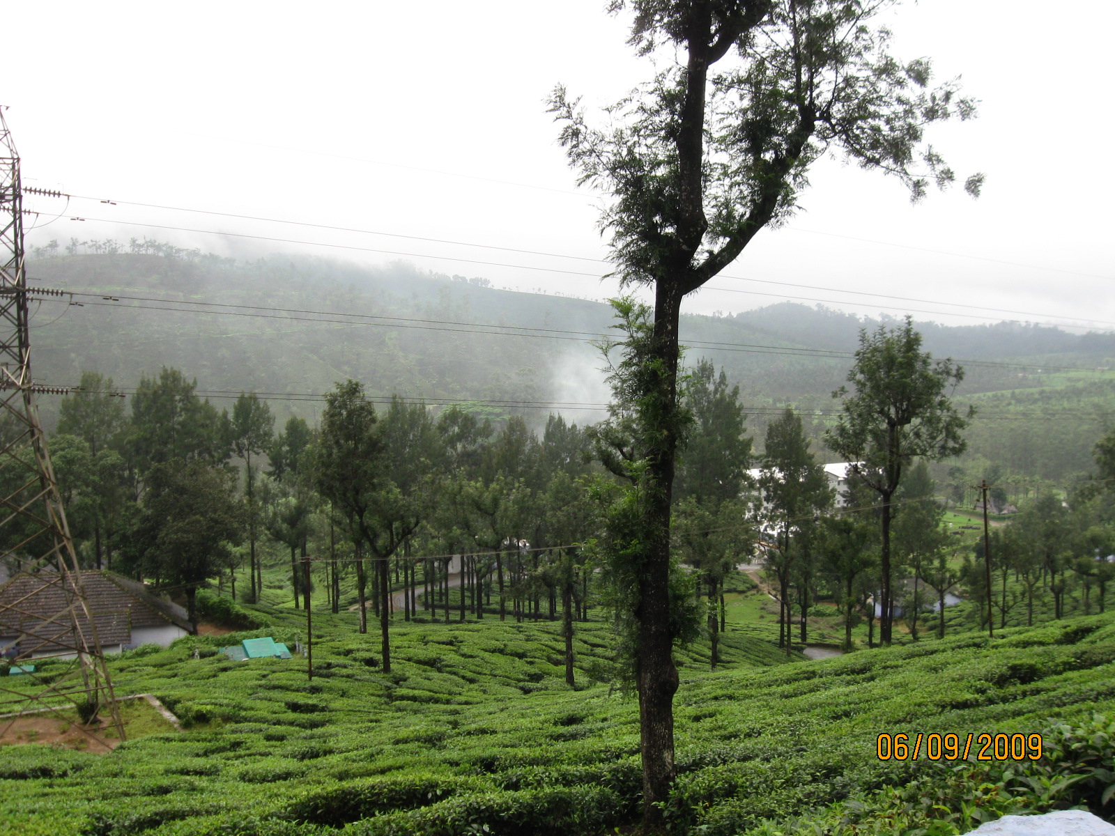 Valparai Tourism Amazing Hornbill Hd