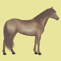 Ultimate Howrse: Breeds - Welsh