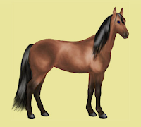 Ultimate Howrse: Breeds - Arabian Horse
