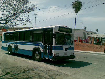 Autobuses de Tijuana