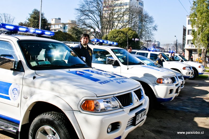 PDI muestra los nuevos carros institucionales llegados a Osorno - PL Prensa