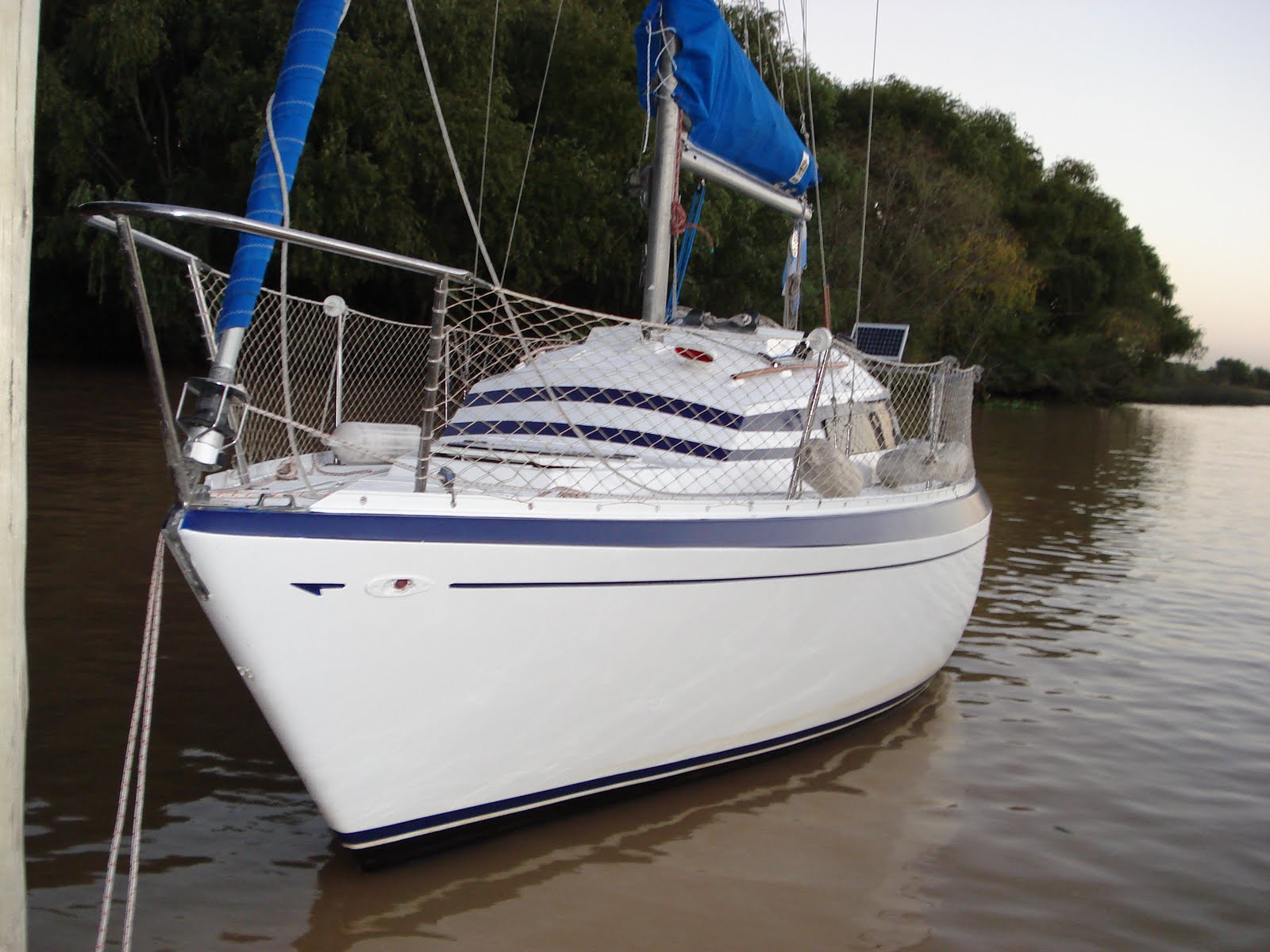 AMIGOS DEL LASER 23: Balurdo en El Pajarito