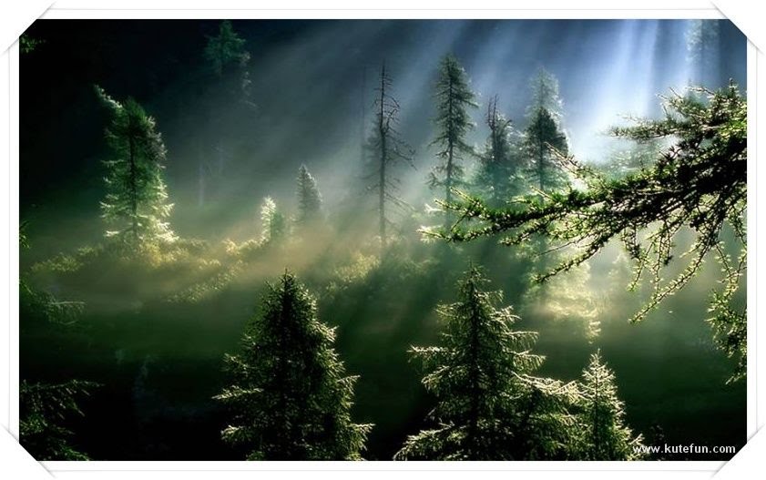 Wonderland: Natural Beauty Of The World