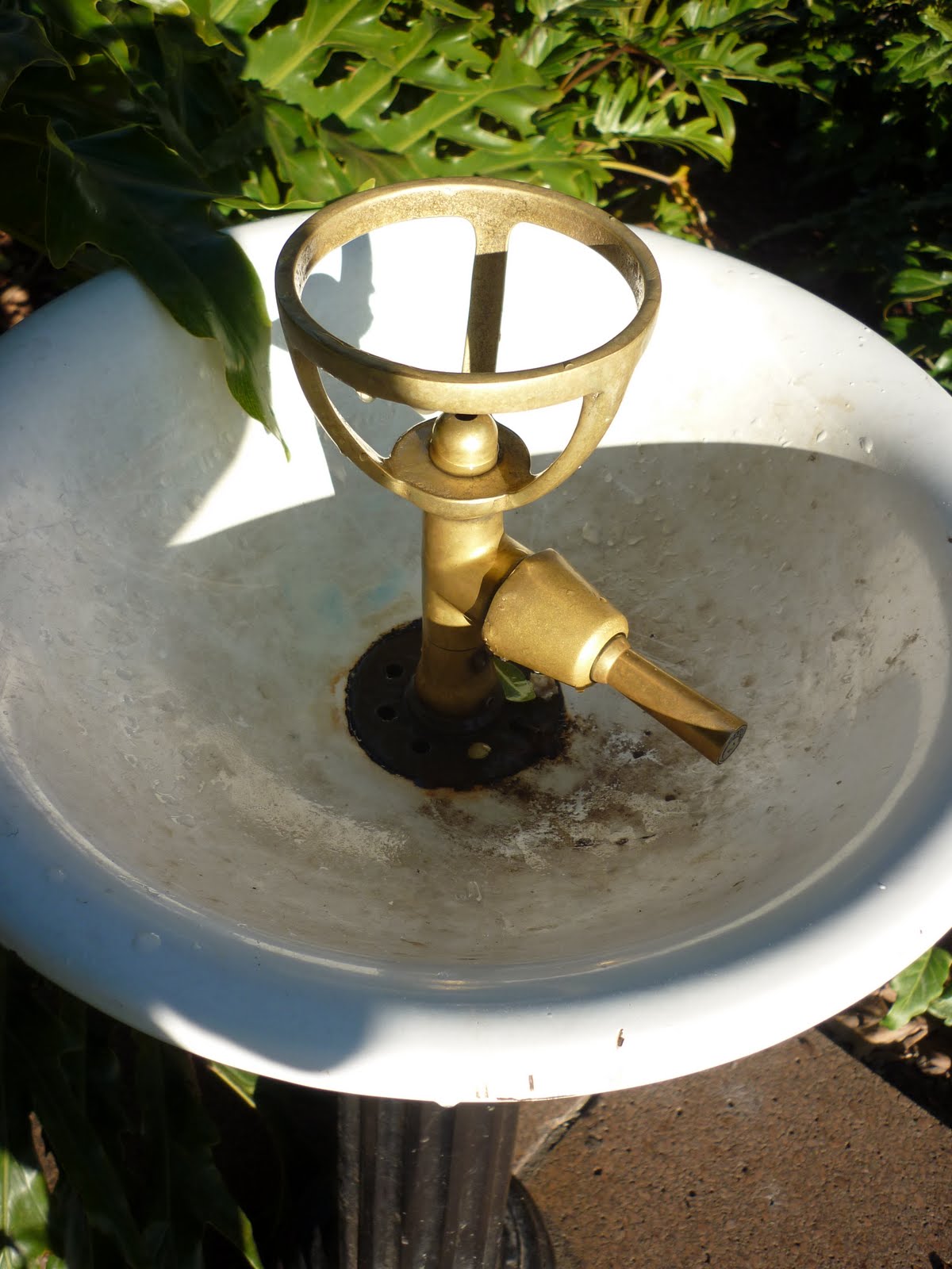 Sydney - Australia: Bubbler