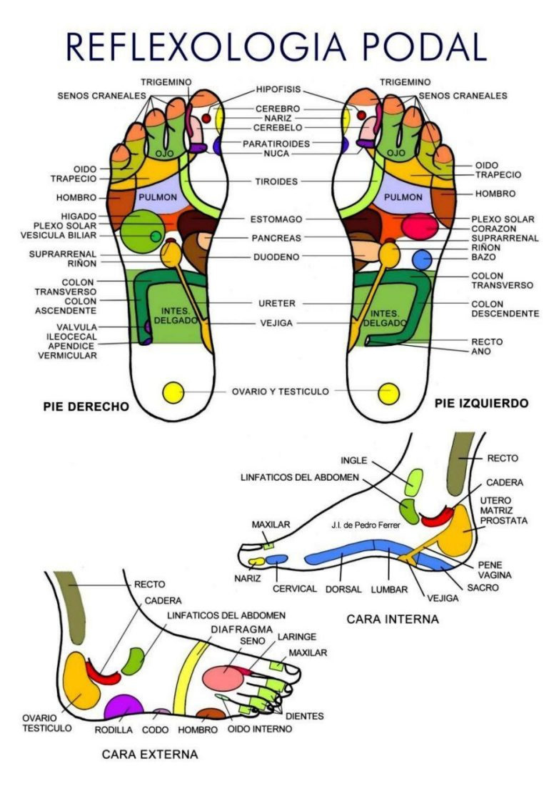 Acupuntura e Fitoterapia Chinesa: Mapa de Reflexologia Plantar