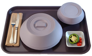HOSPITAL INSULATED FOOD TRAYS