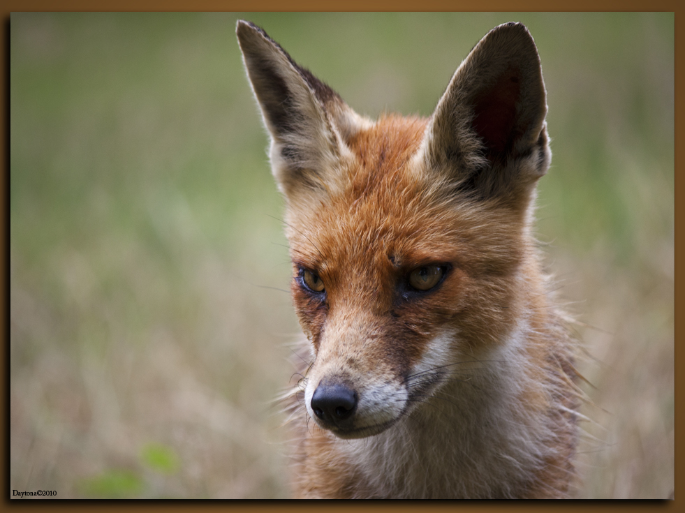 Amsterdamse Waterleiding Duinen (AWD): Vroeg op.