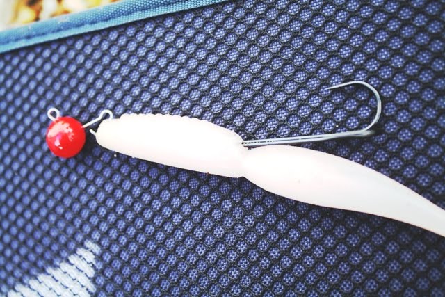 Graham Hill Modern Bass fishing 2021: Rigging a 5" MegaBass Spindle Worm