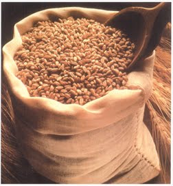 NephiCode: Nephite Monetary System – Part III