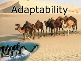 Adaptability - Positive Thoughts for Today