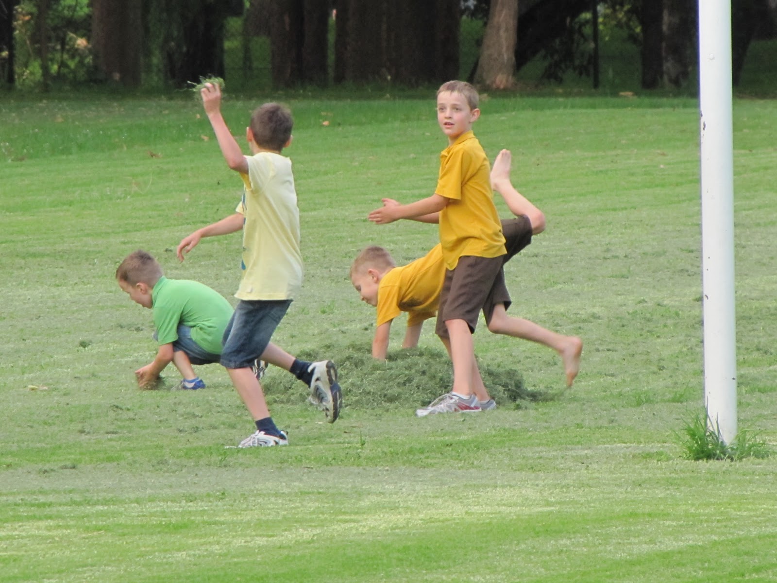 Meanderings of My Mind: Grass fun