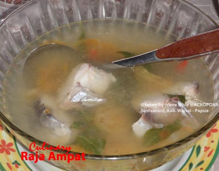 From & 4 Life: Raja Ampat, The Best of The Best!