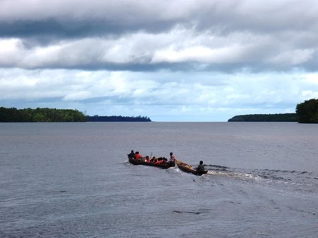 There’s Big Barra’s That Still Lies at Timika Estuaries (1)