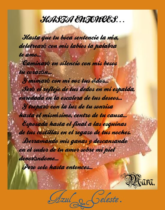 UNA MIRADA AL INFINITO