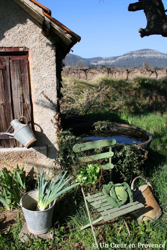 Un Coeur en Provence: Une journée au mazet