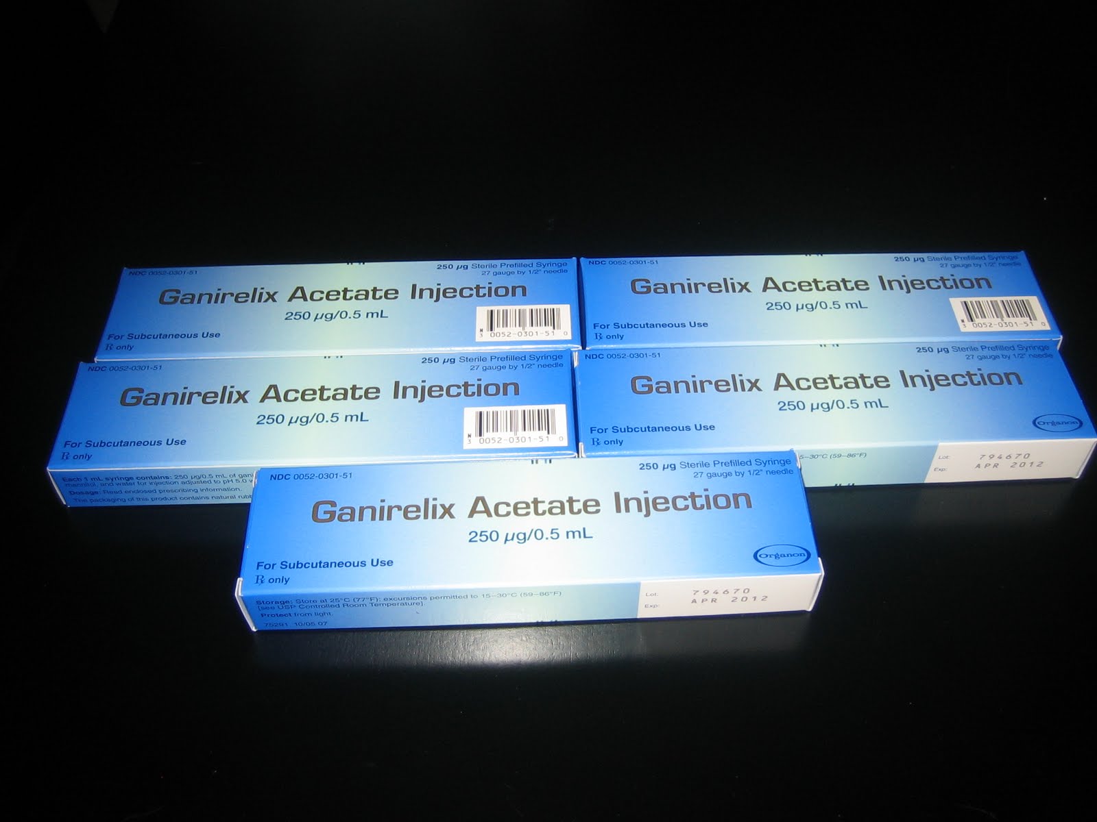 The Gameplan: How to Make a Baby: it is Christmas!