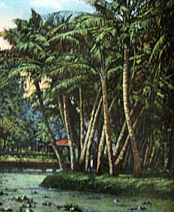 Waikiki Time Machine: Makee Island