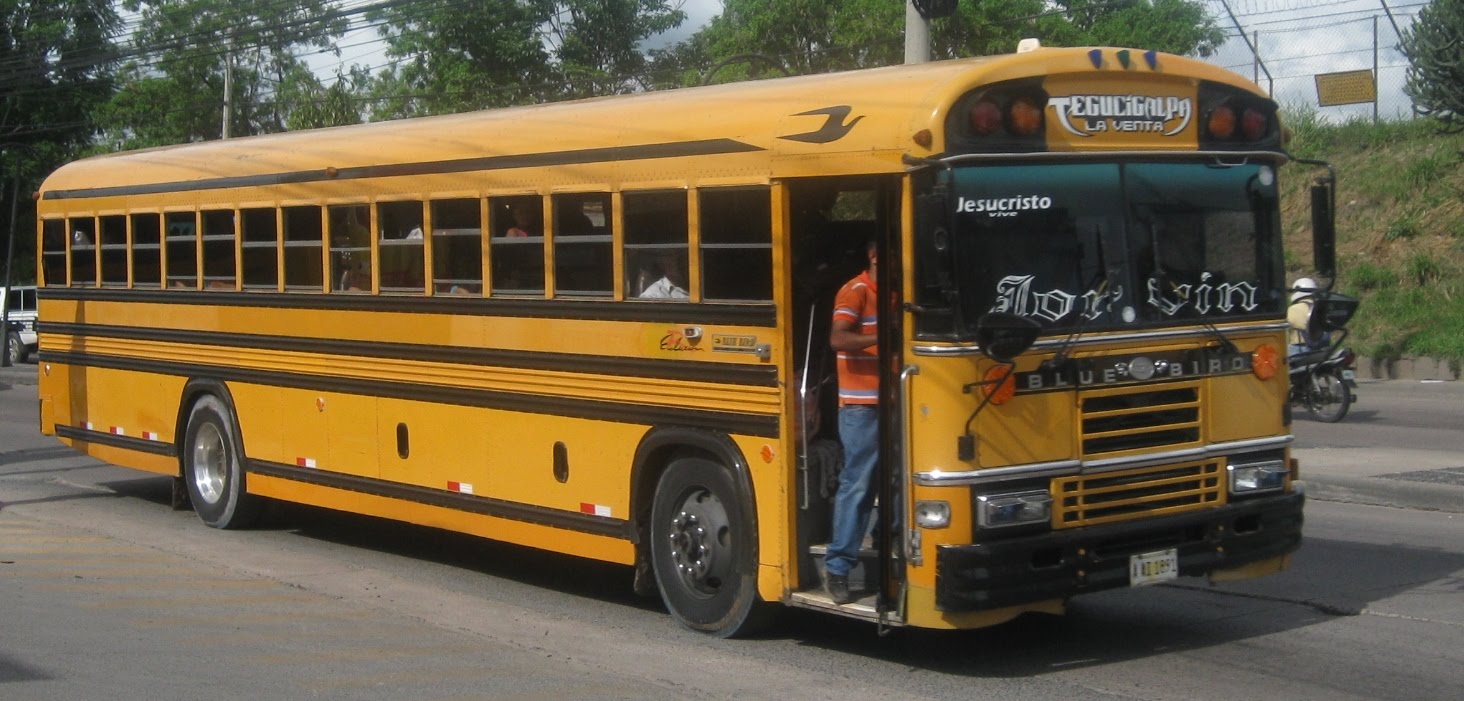 BUSES DE HONDURAS-HONDUBUS: BUSES DE TODOS LOS DIAS