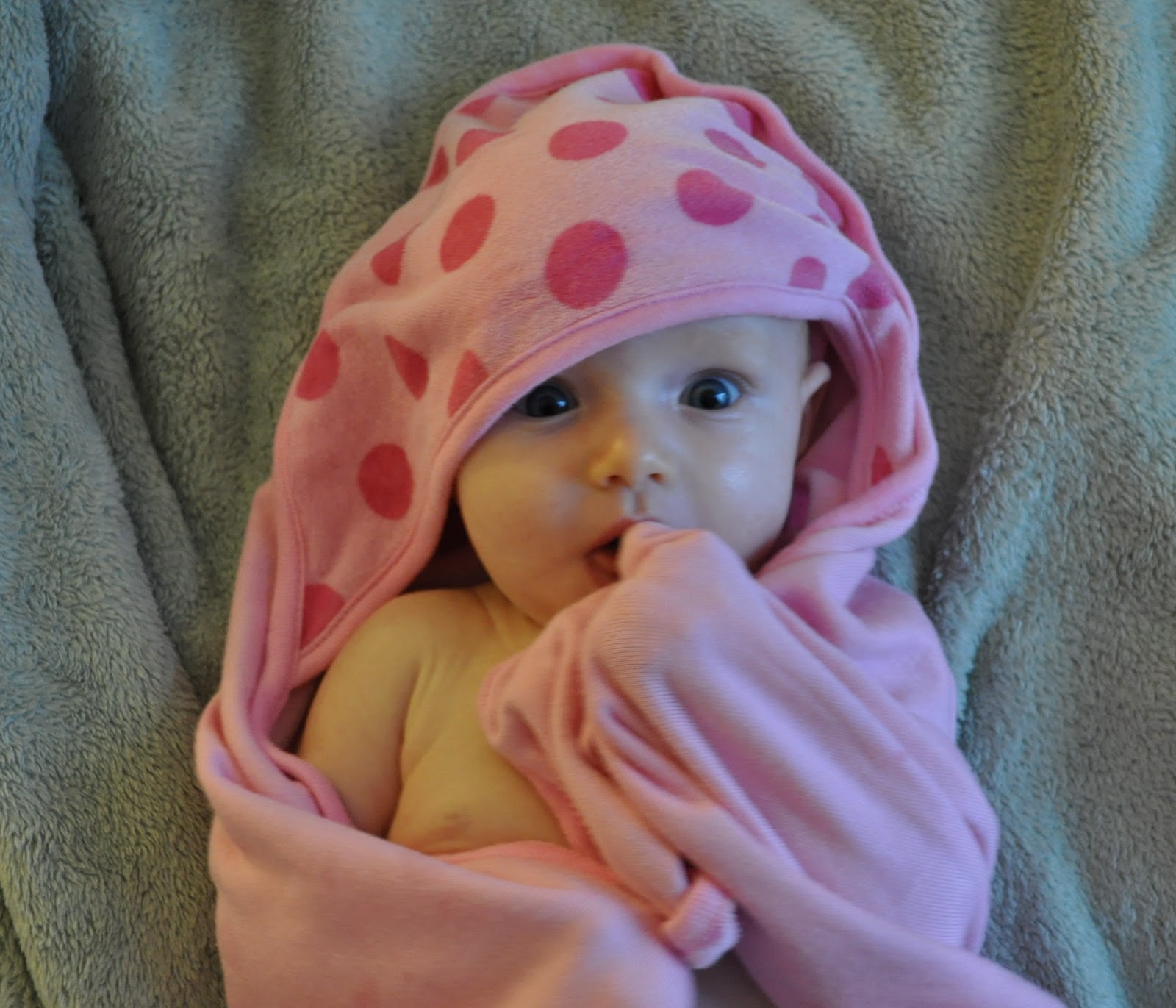 mamma mags: pampered baby