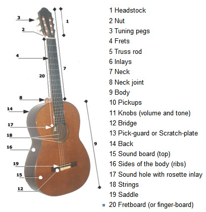 Play The Guitar: Getting started: Anatomy of a Guitar