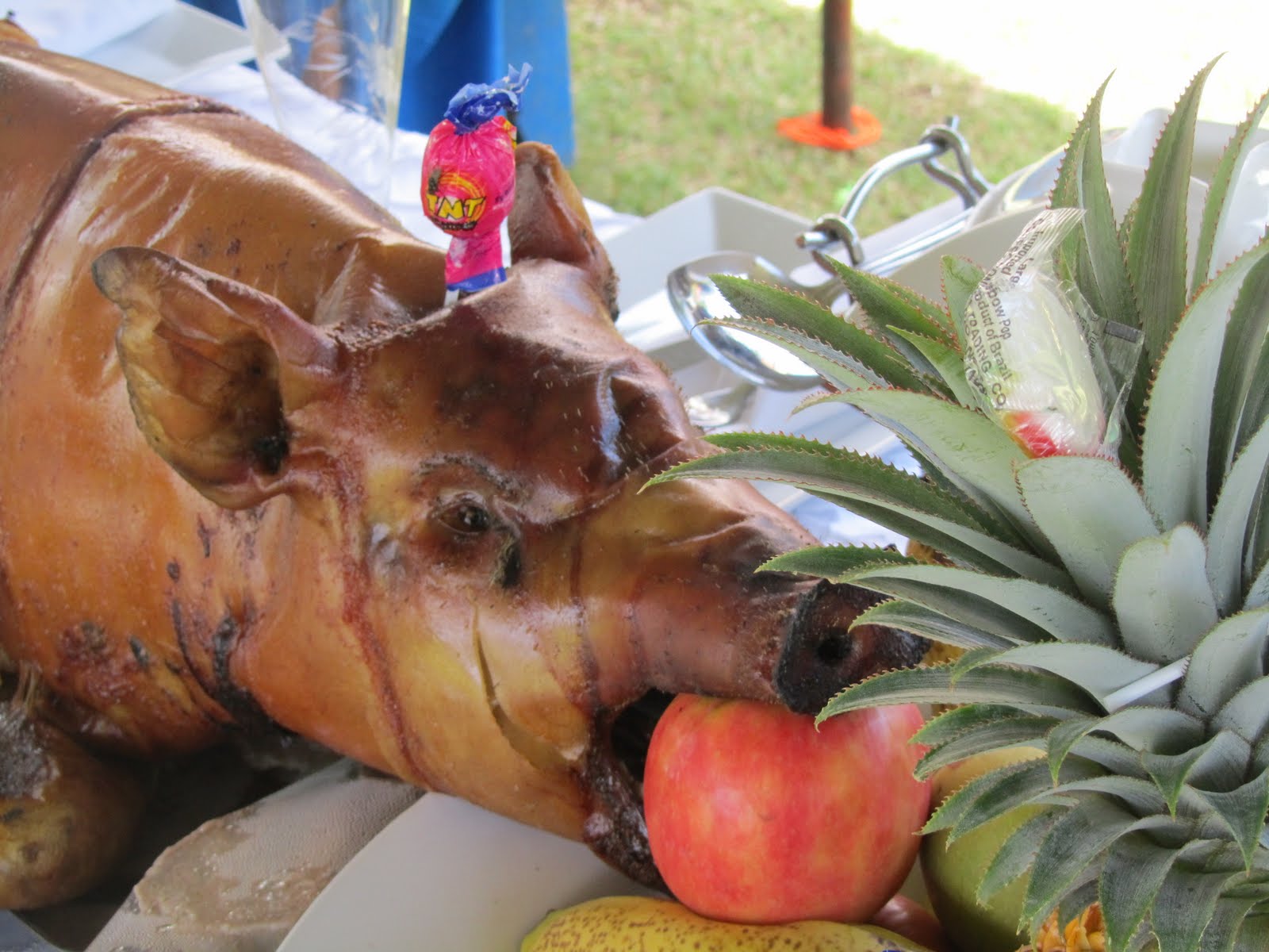 Temporary Tongan: It's been a while