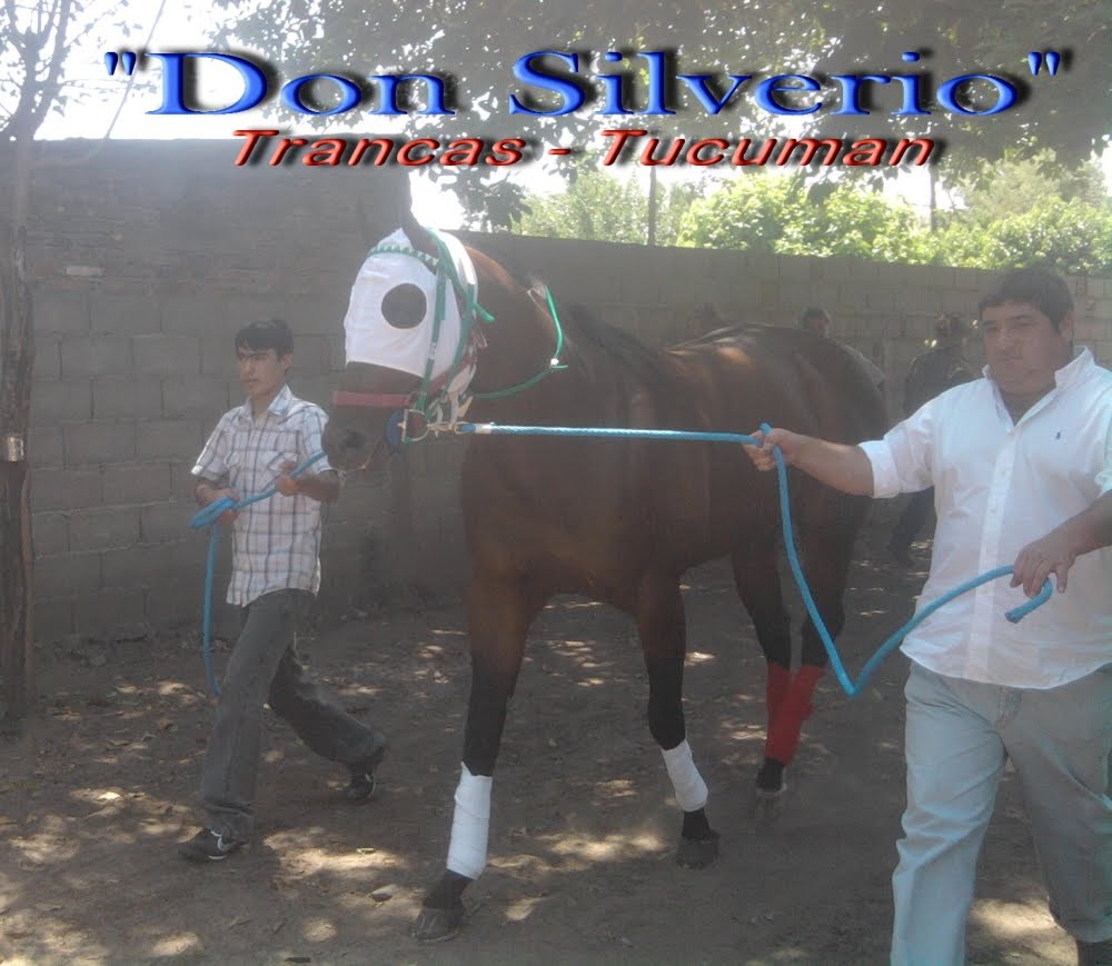 Turf de Tucuman: "Don Silverio" - Fotos