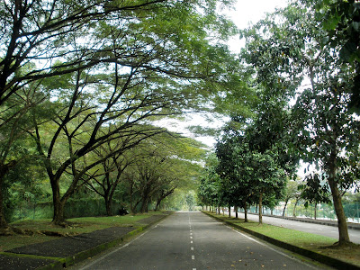 icouldiwill on the road: I love Penang