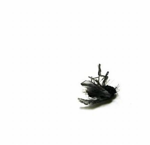 Insects made from human hair - Oddpedia.com