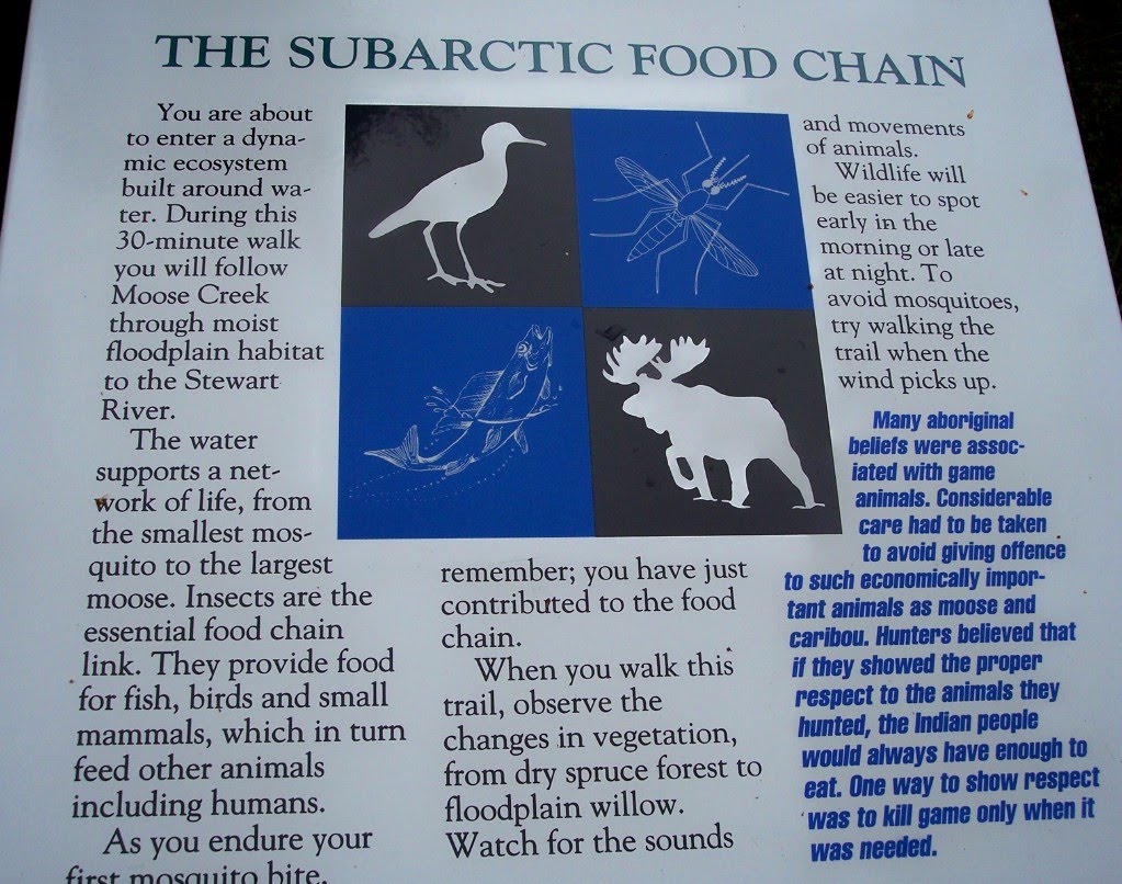 Journey with the Weigles: Last days in Canada