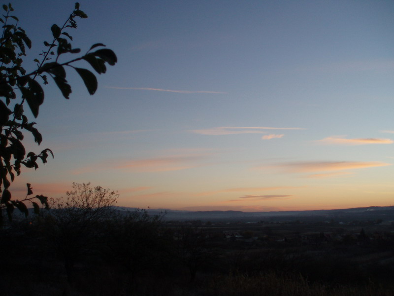 Blogul Simonei: De ce îmi doresc un Nikon şi multe obiective. Poze cu ...