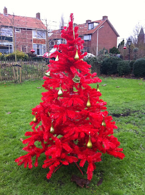 A Daily Dose of Dennis: Oh denneboom