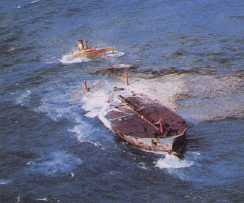 Poluição das Águas Oceânicas: As Marés Negras