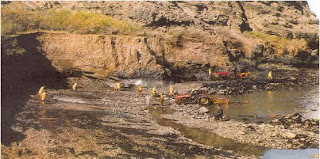 Poluição das Águas Oceânicas: As Marés Negras